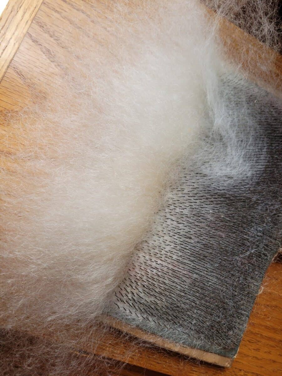 How Do You Process Wool At Home? – woolmaven.com